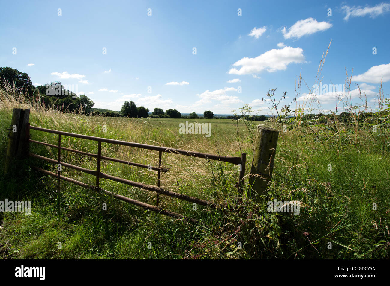 Rural scene in Kent,England,UK Stock Photo - Alamy