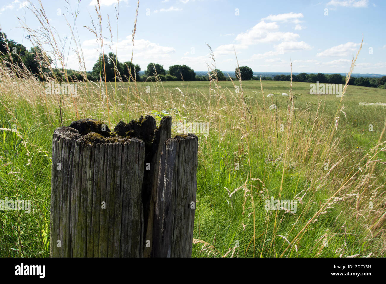 Rural scene in kent hi-res stock photography and images - Alamy