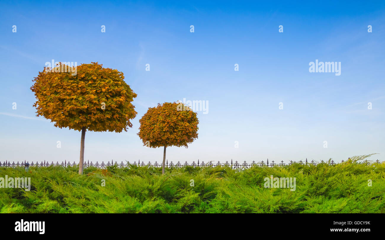 Serene park scene autumn leaves hi-res stock photography and images - Alamy