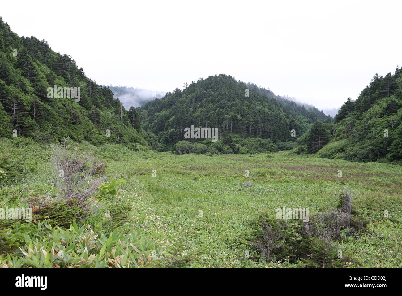Kunasir Kurils islands Rocks Russia Stock Photo - Alamy