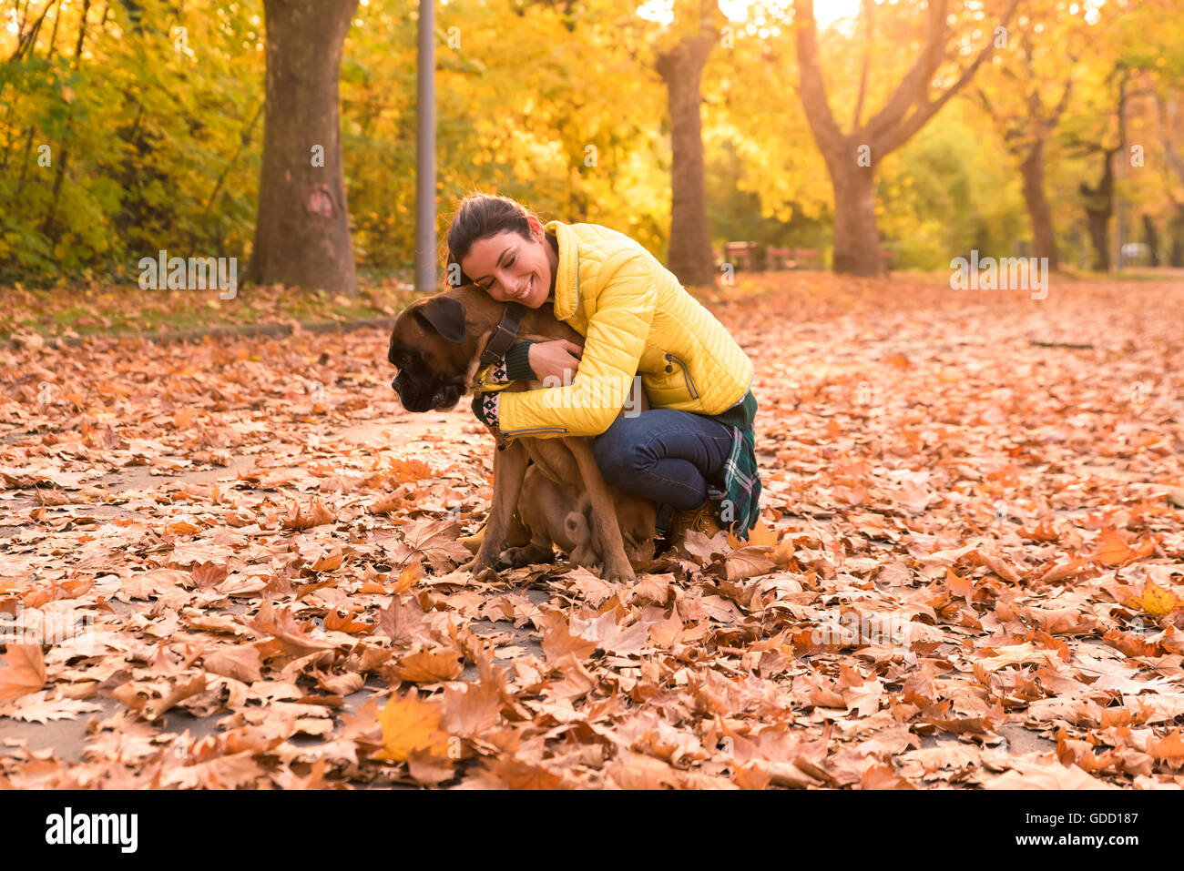 Beautiful young woman with her Dog in the Park in the autumn Stock ...