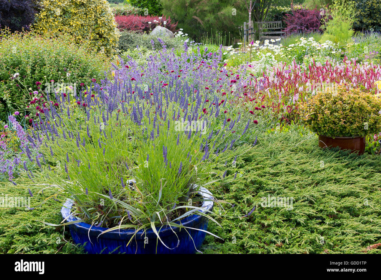 Tipperary borders hi-res stock photography and images - Alamy