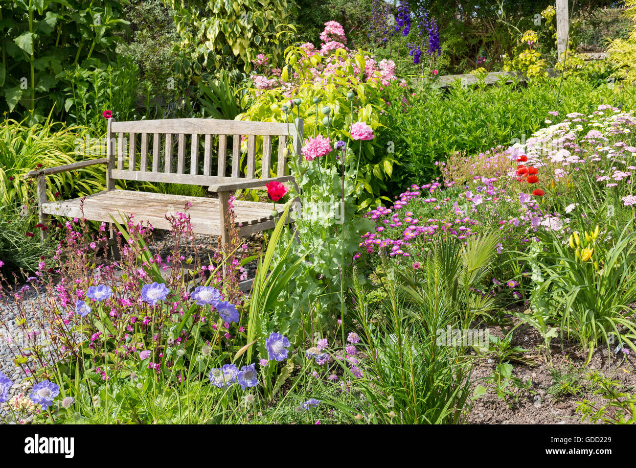 Irish cottage garden hi-res stock photography and images - Alamy
