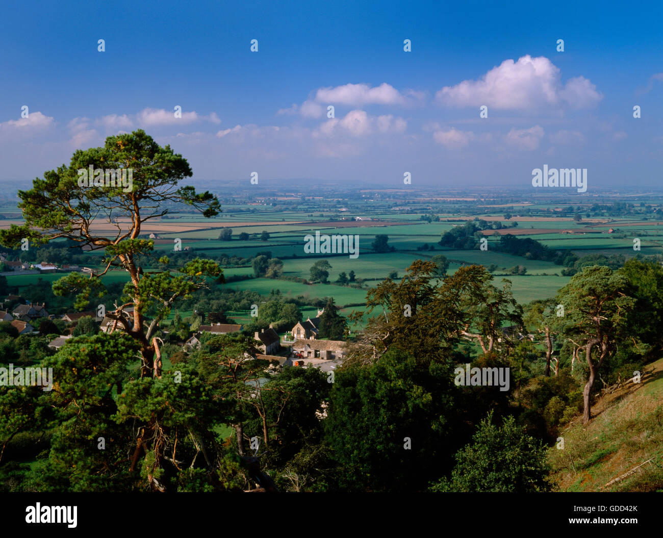 View SW from Cadbury Castle hillfort, over Sutton Montis to distant ...