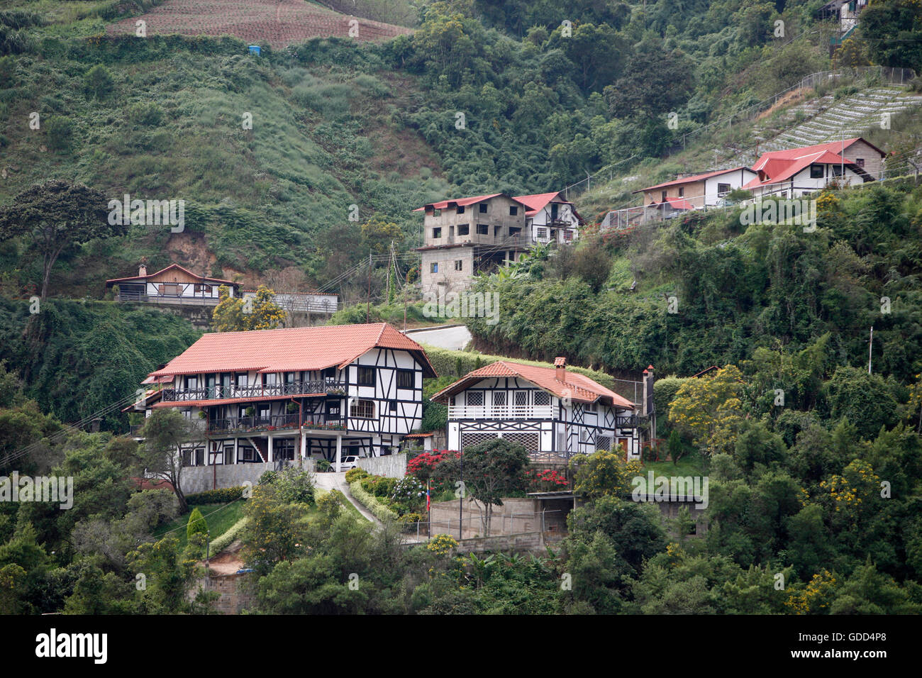 a traditional Black Forest House of the German Colony in the Mountain ...