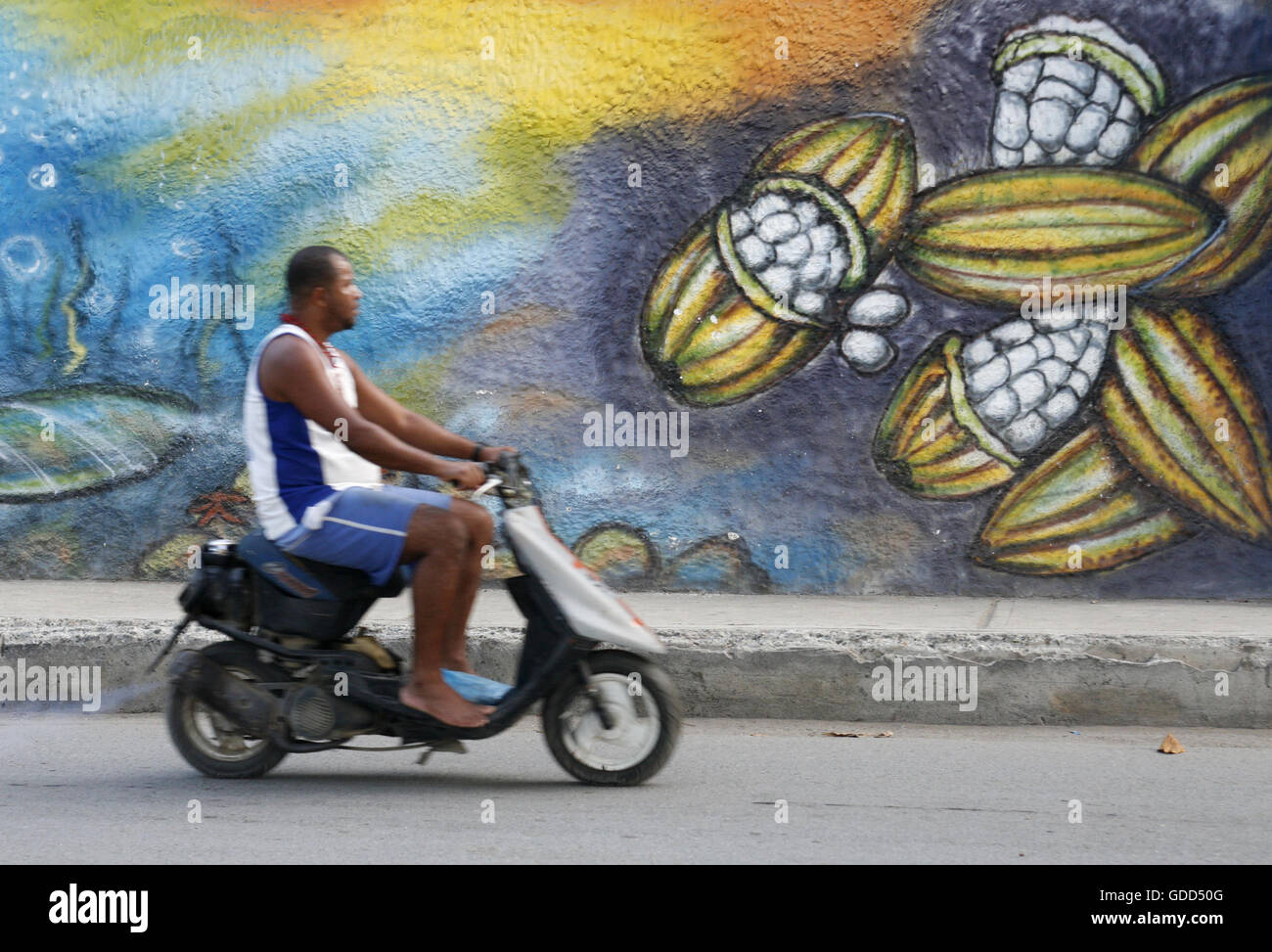 paintings of cacao beans at a road in the town of choroni near choroni ...