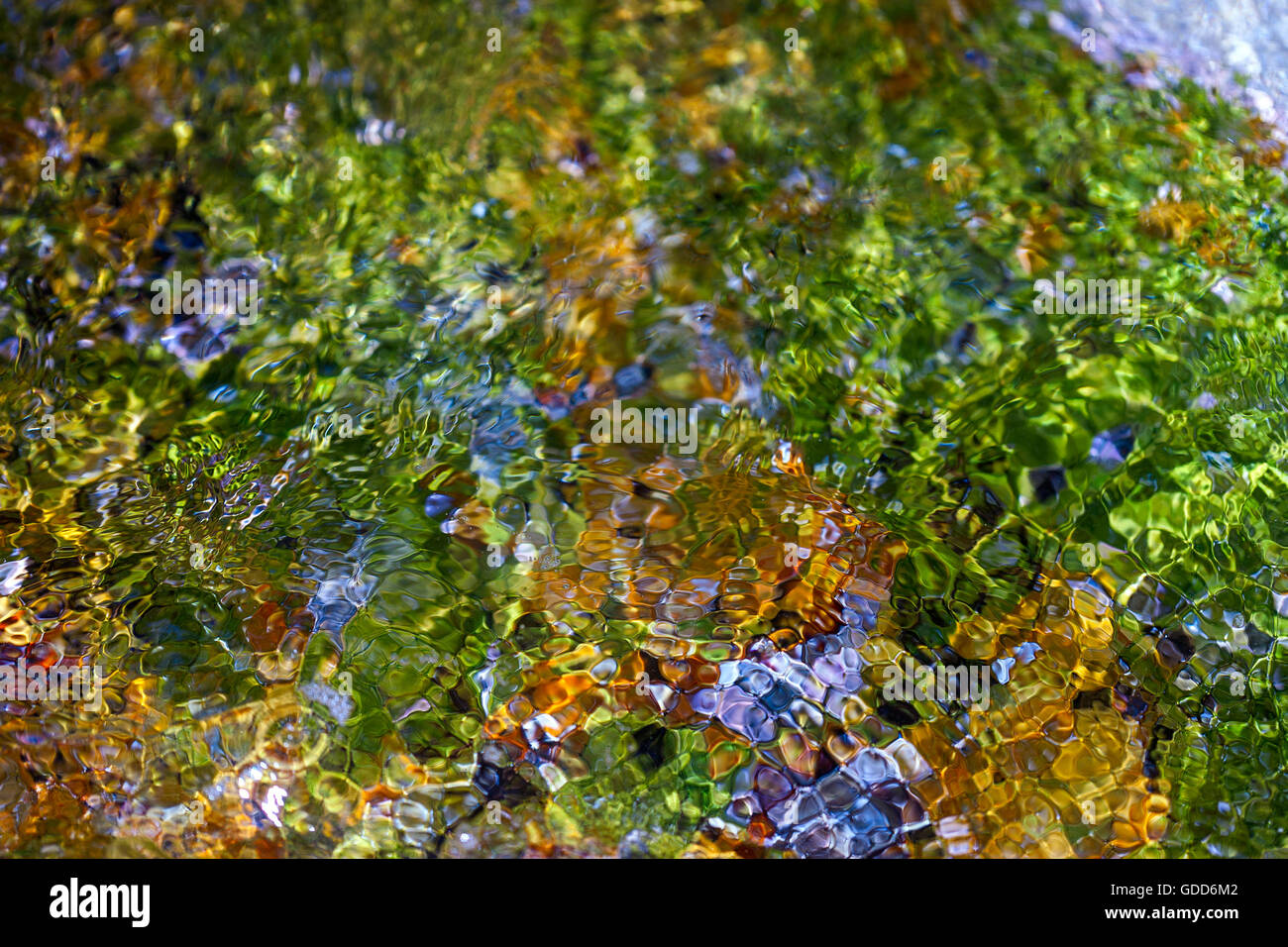 Underwater ocean stones bottom reflection hi-res stock photography and ...