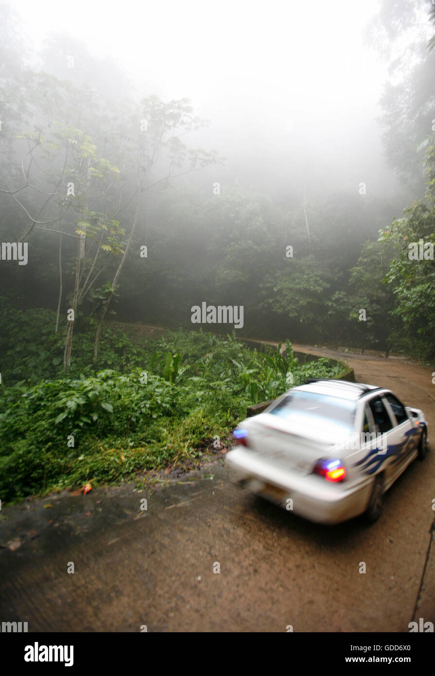 a road over a pass in the nature and forest near the village of choroni ...