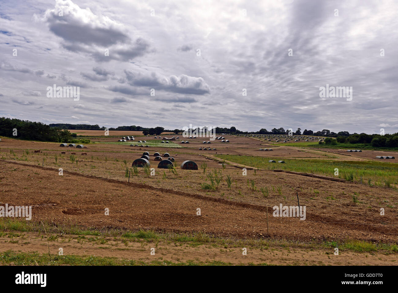 Pig shelter in field hi-res stock photography and images - Alamy