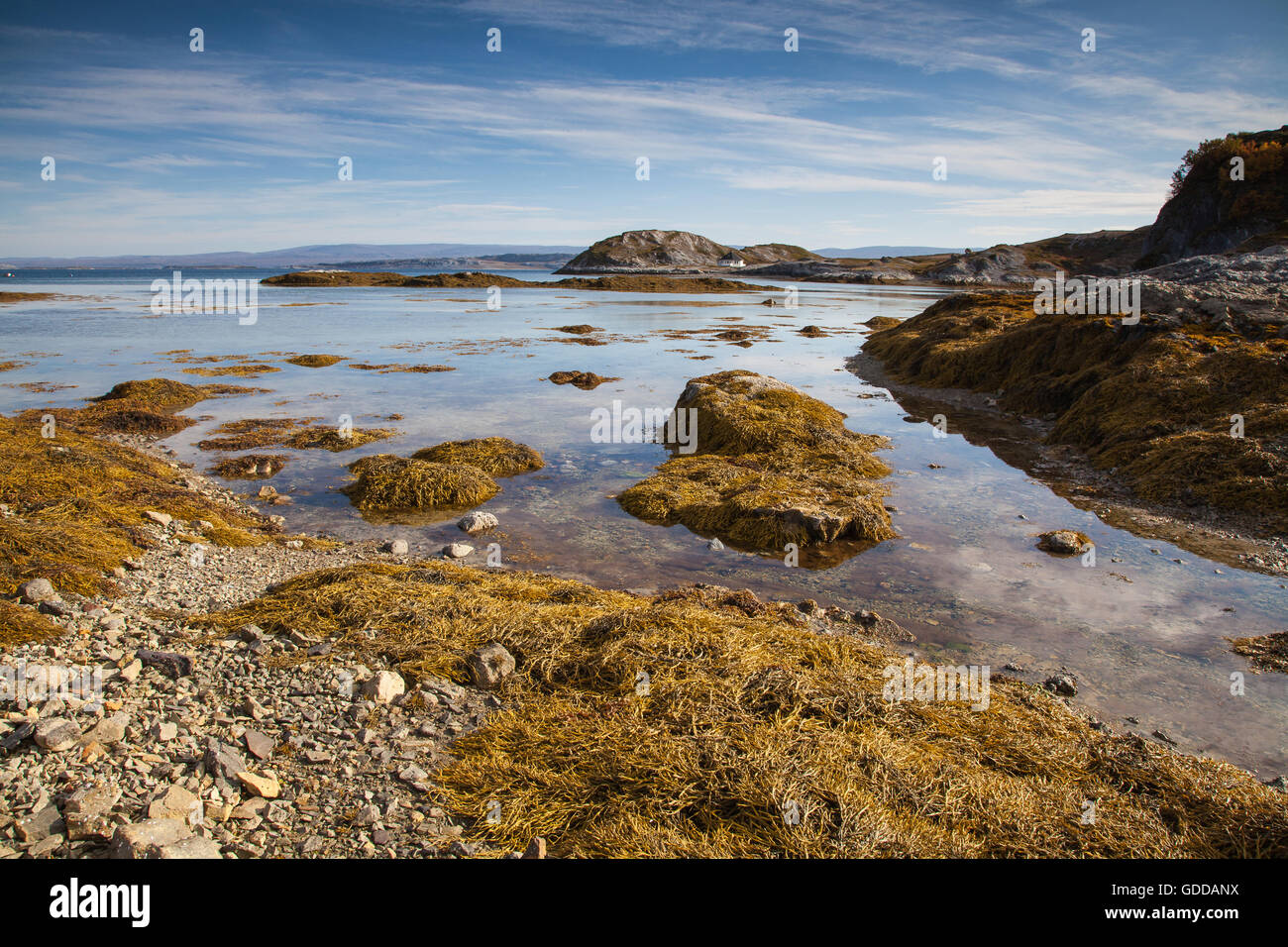 Europe,rock,cliff,autumn,autumn colors,scenery,landscape,Lapland,sea ...