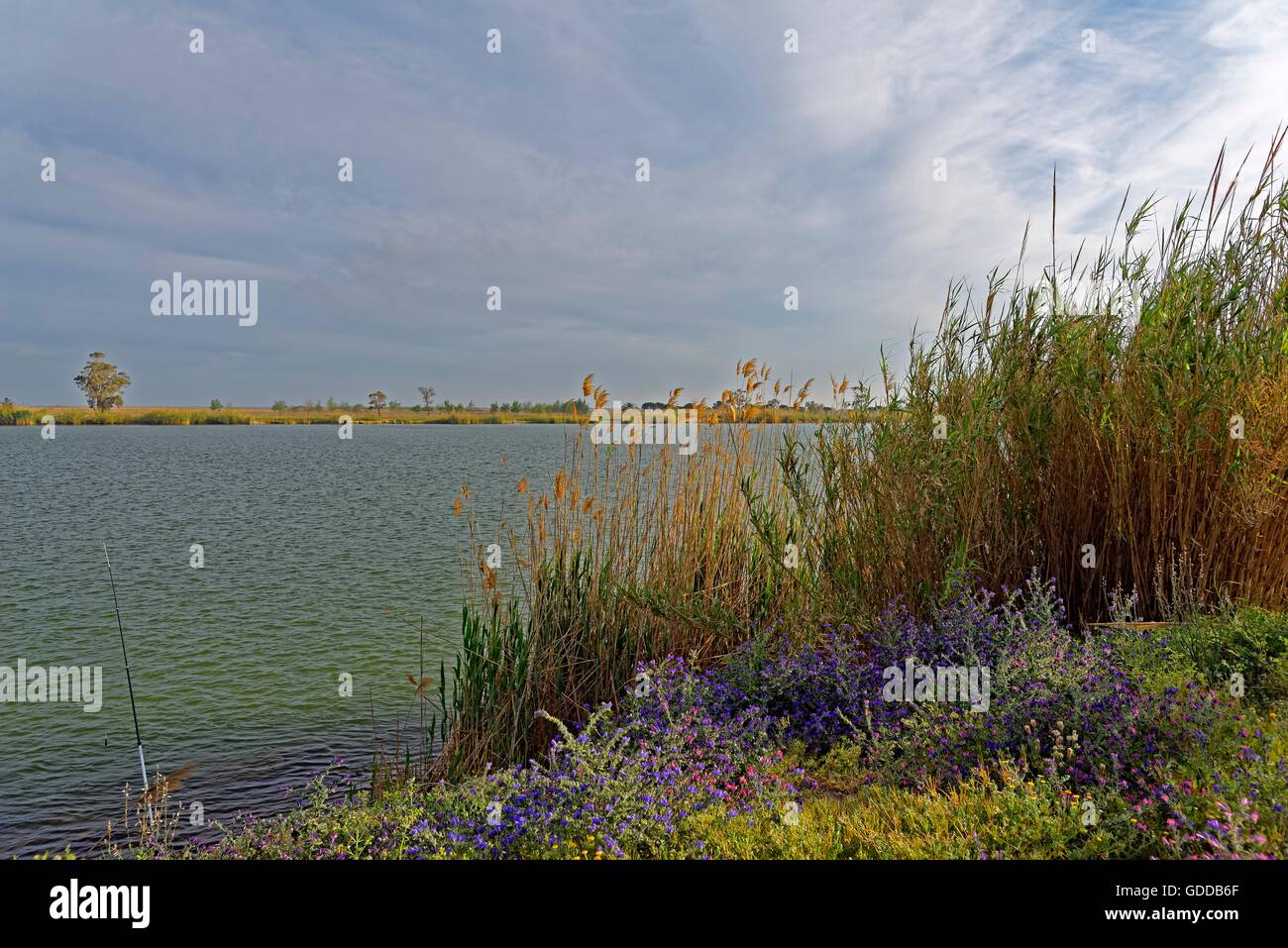 Delta de l'ebre water hi-res stock photography and images - Alamy
