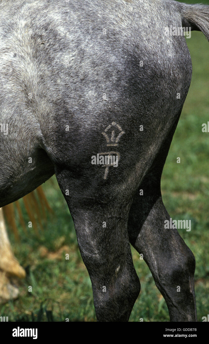 Branded hi-res stock photography and images - Alamy