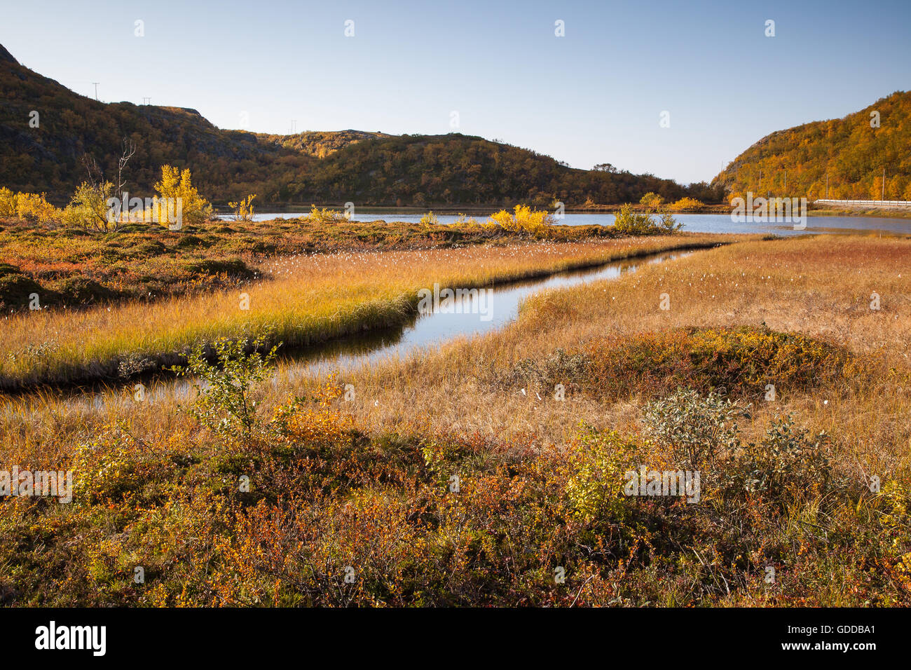 Fjell landscape hi-res stock photography and images - Alamy