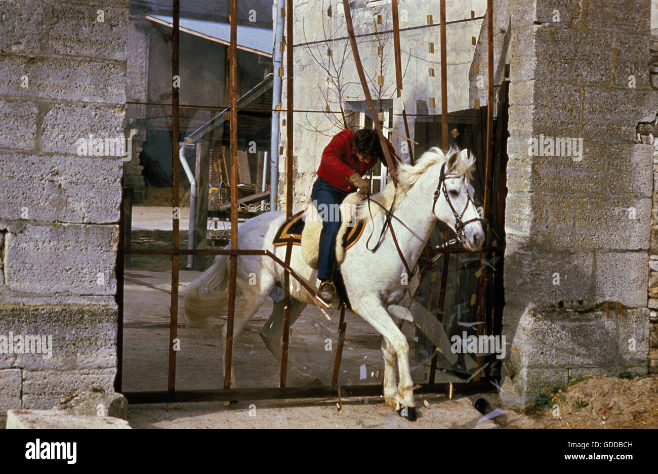 Mario Luraschi Stunt and Horse Show Stock Photo - Alamy