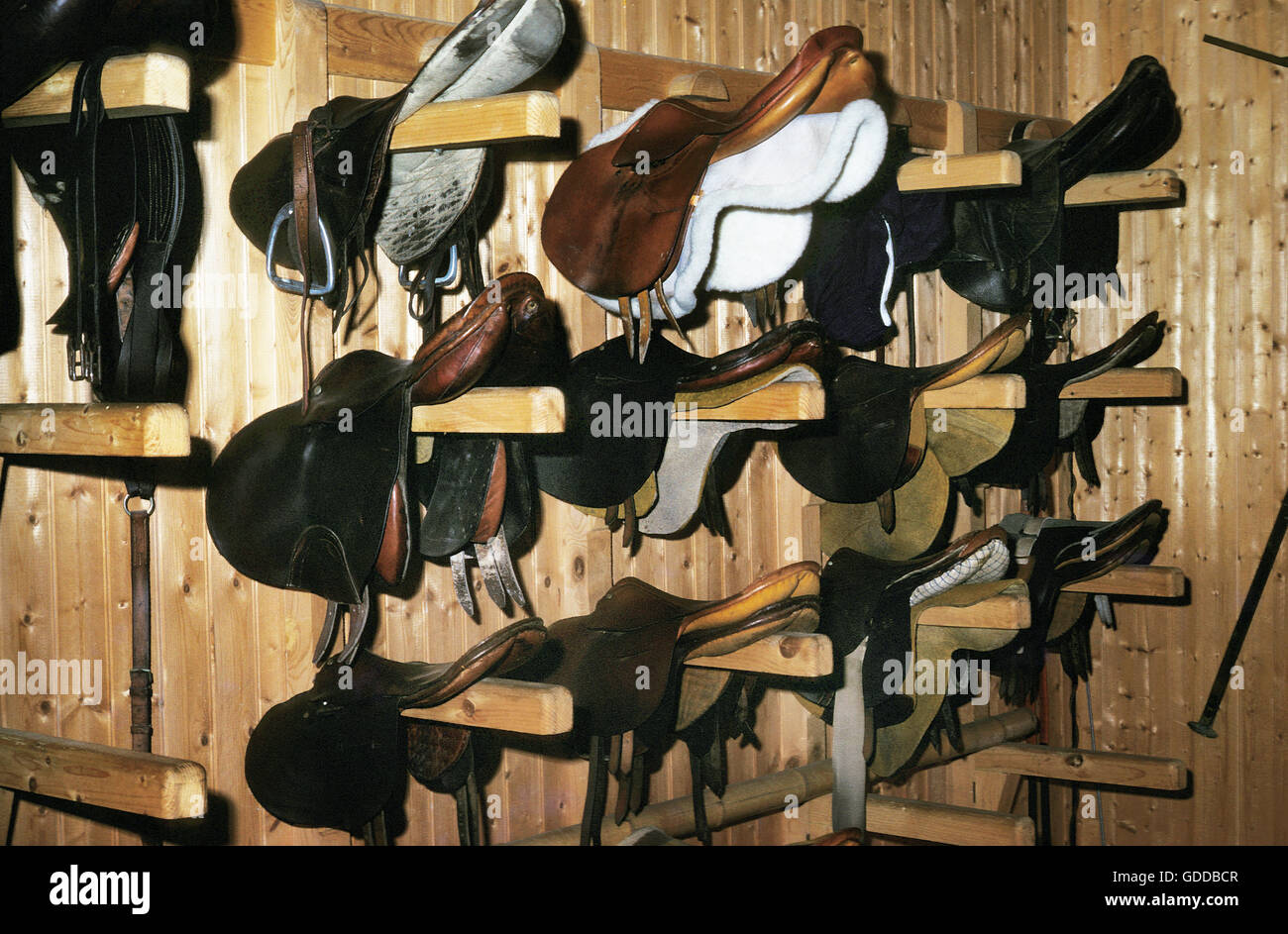 Saddles in saddle room of horse riding center hi-res stock photography ...