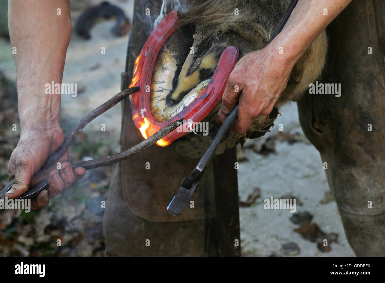 What Is Hot Iron Branding at Sarah Fox blog