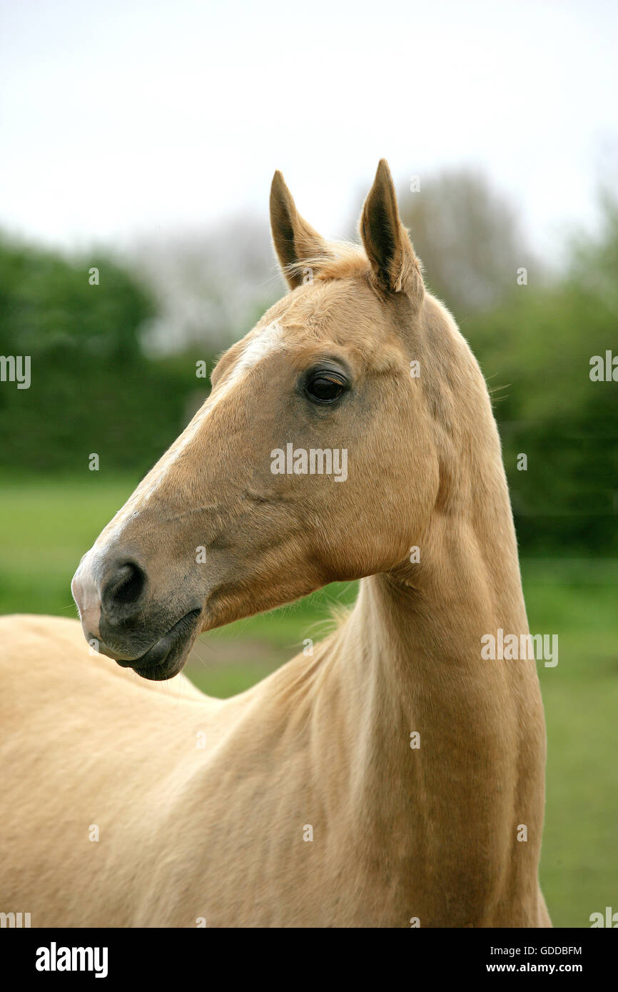 Teke teke hi-res stock photography and images - Alamy