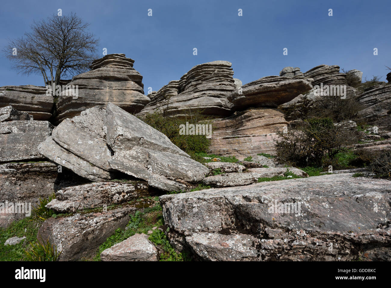 Rock formations of limestone hi-res stock photography and images - Alamy