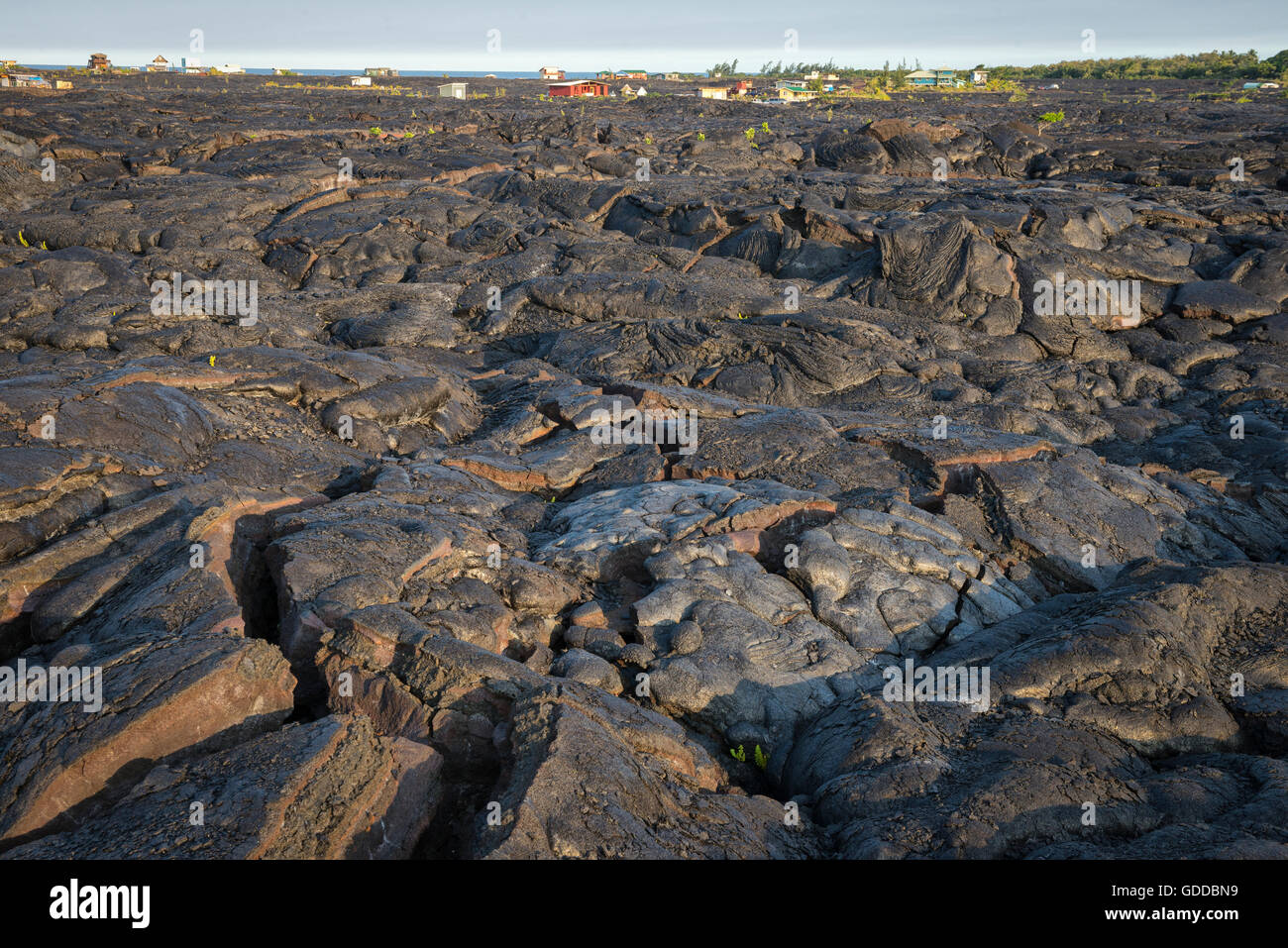 USA,Vereinigte Staaten,Amerika,Hawaii,Big Island,Puna District,lava ...