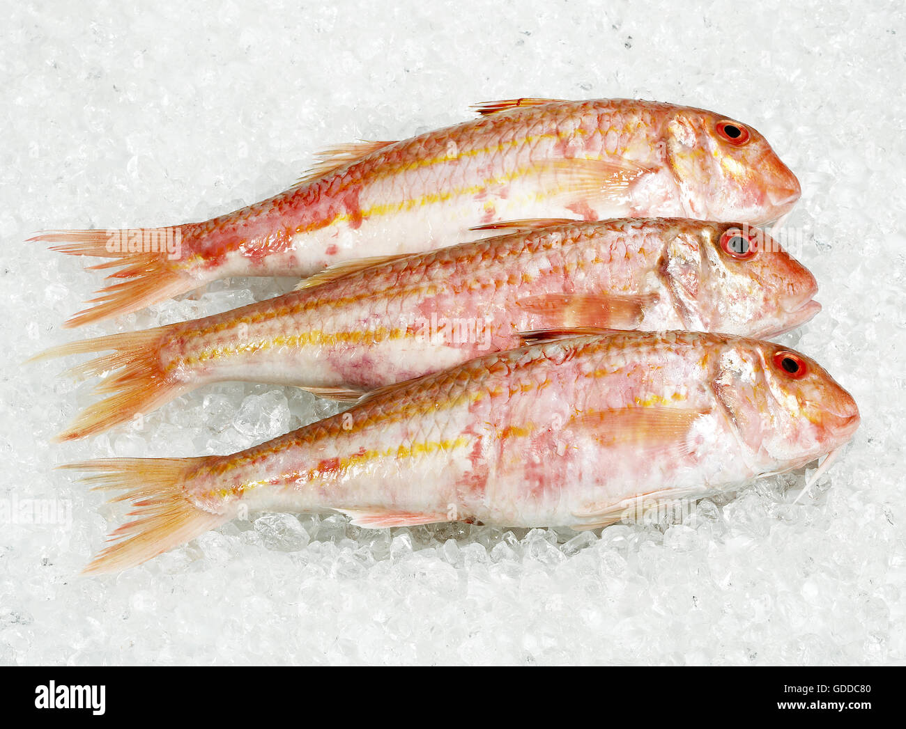 Mullet on ice hi-res stock photography and images - Alamy