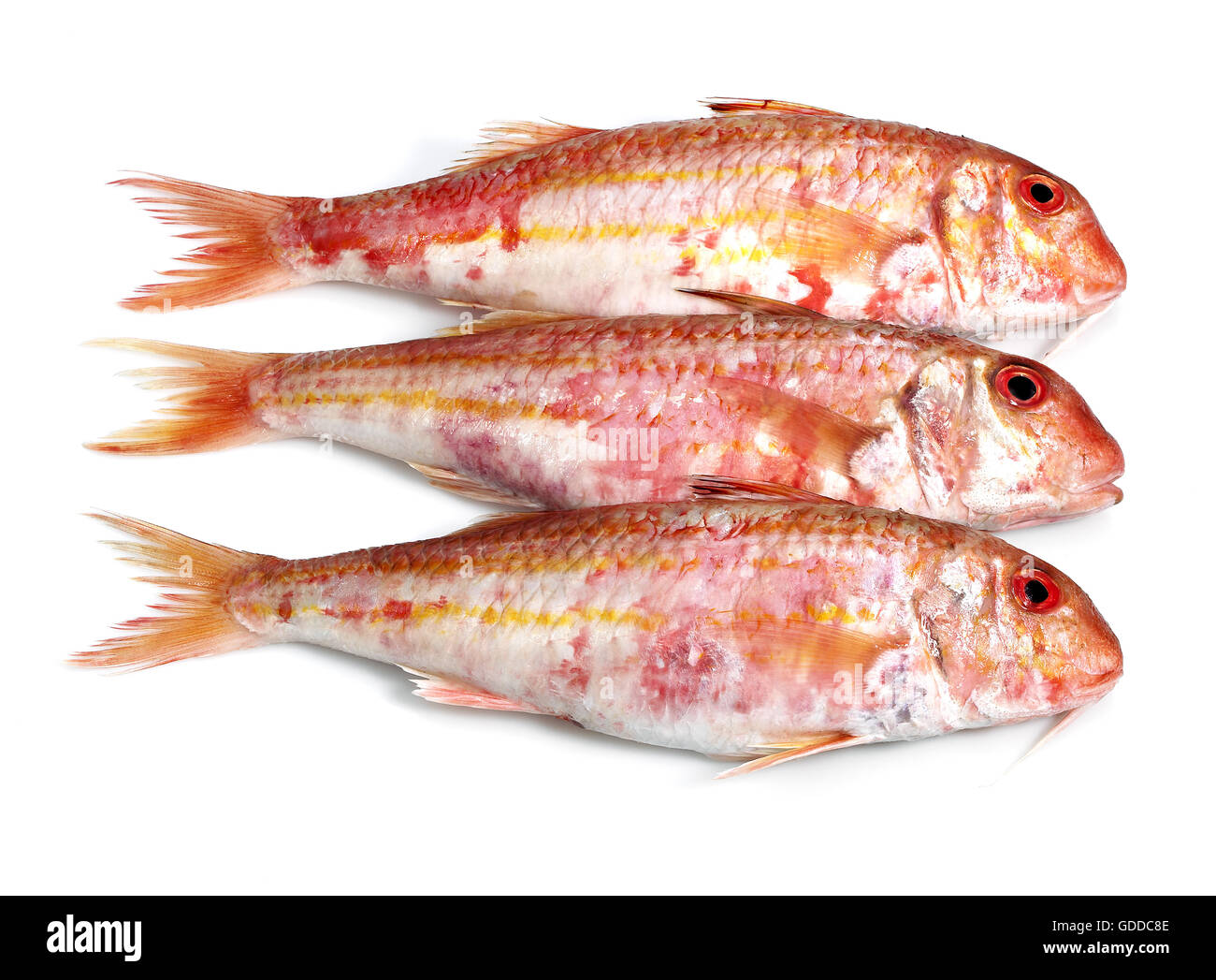 Three mullets hi-res stock photography and images - Alamy