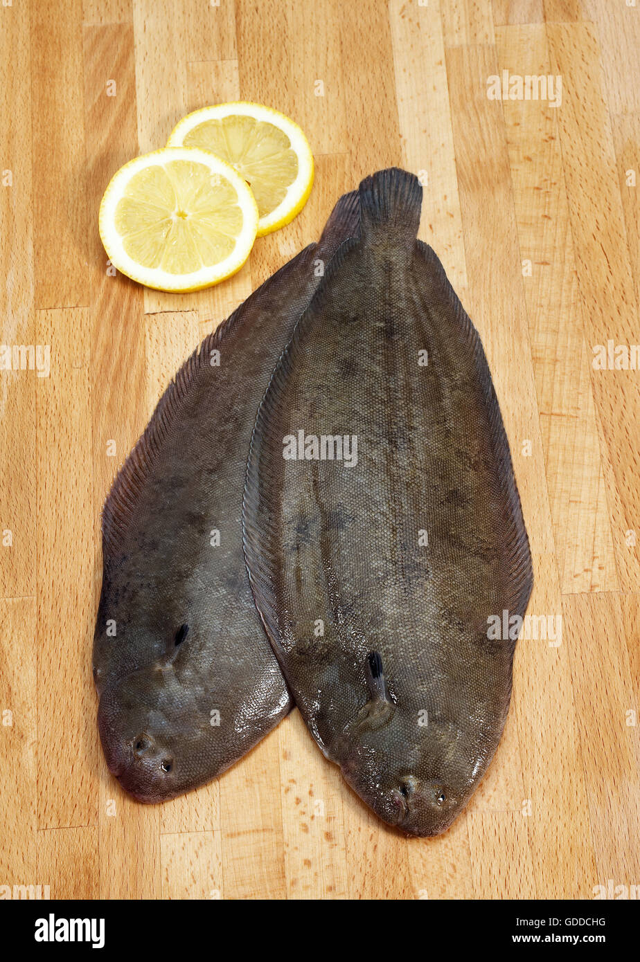 Yellow flatfish hi-res stock photography and images - Alamy