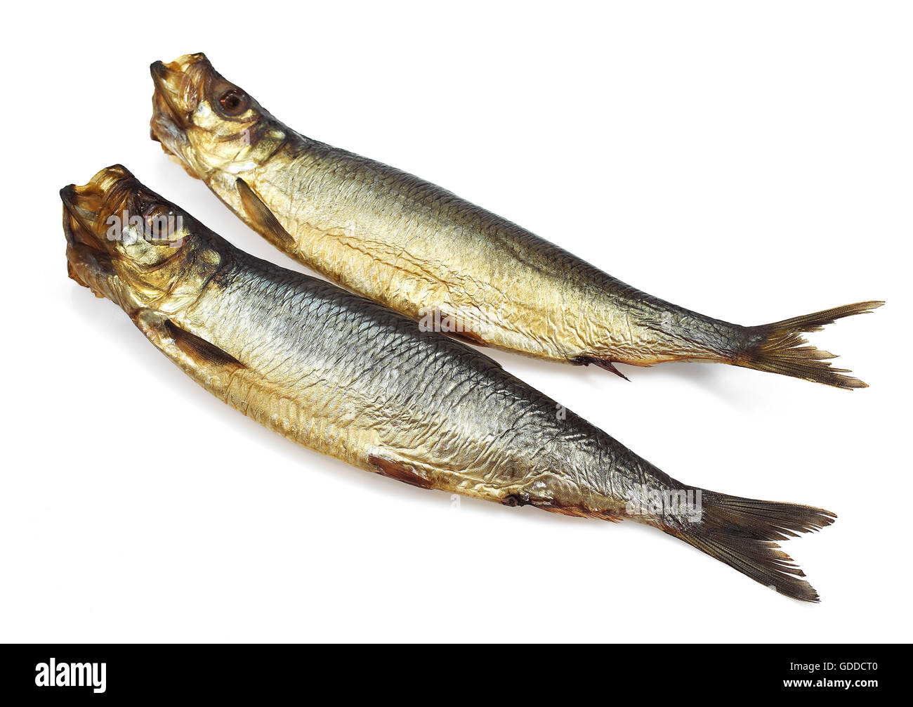Kipper hi-res stock photography and images - Alamy