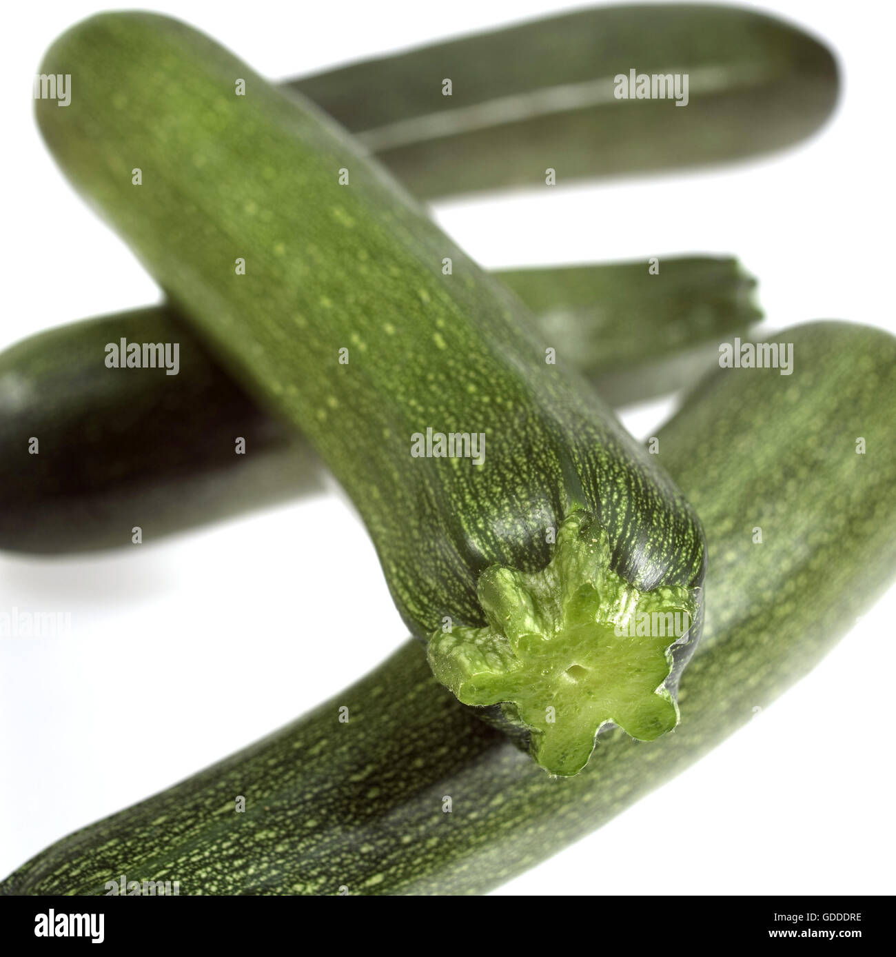 Long Courgette or Zucchini, Vegetables against White Background Stock ...