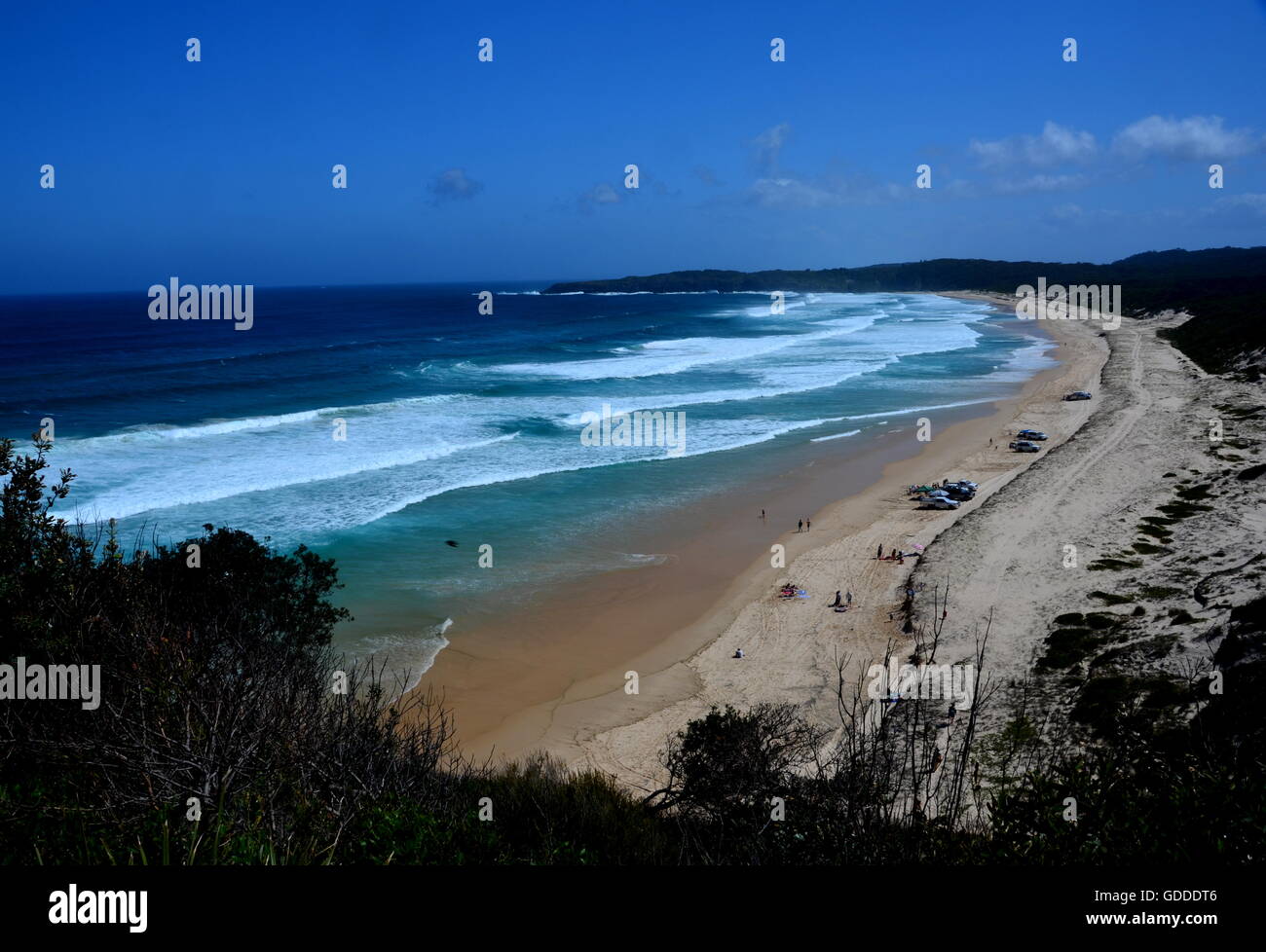 Long 4WD beach at Seal Rocks from Sugarloaf Points (Australia Stock ...