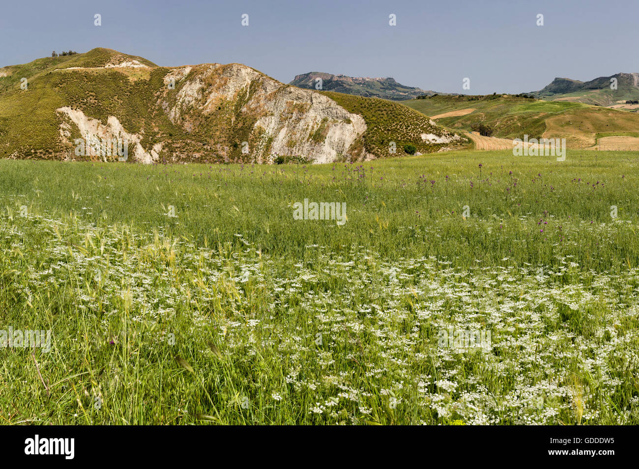 Hilly landscape hi-res stock photography and images - Alamy
