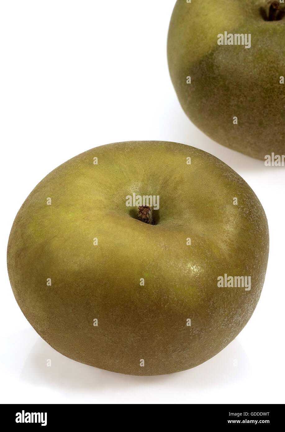 Canada Apple, malus domestica, Fruits against White Background Stock ...