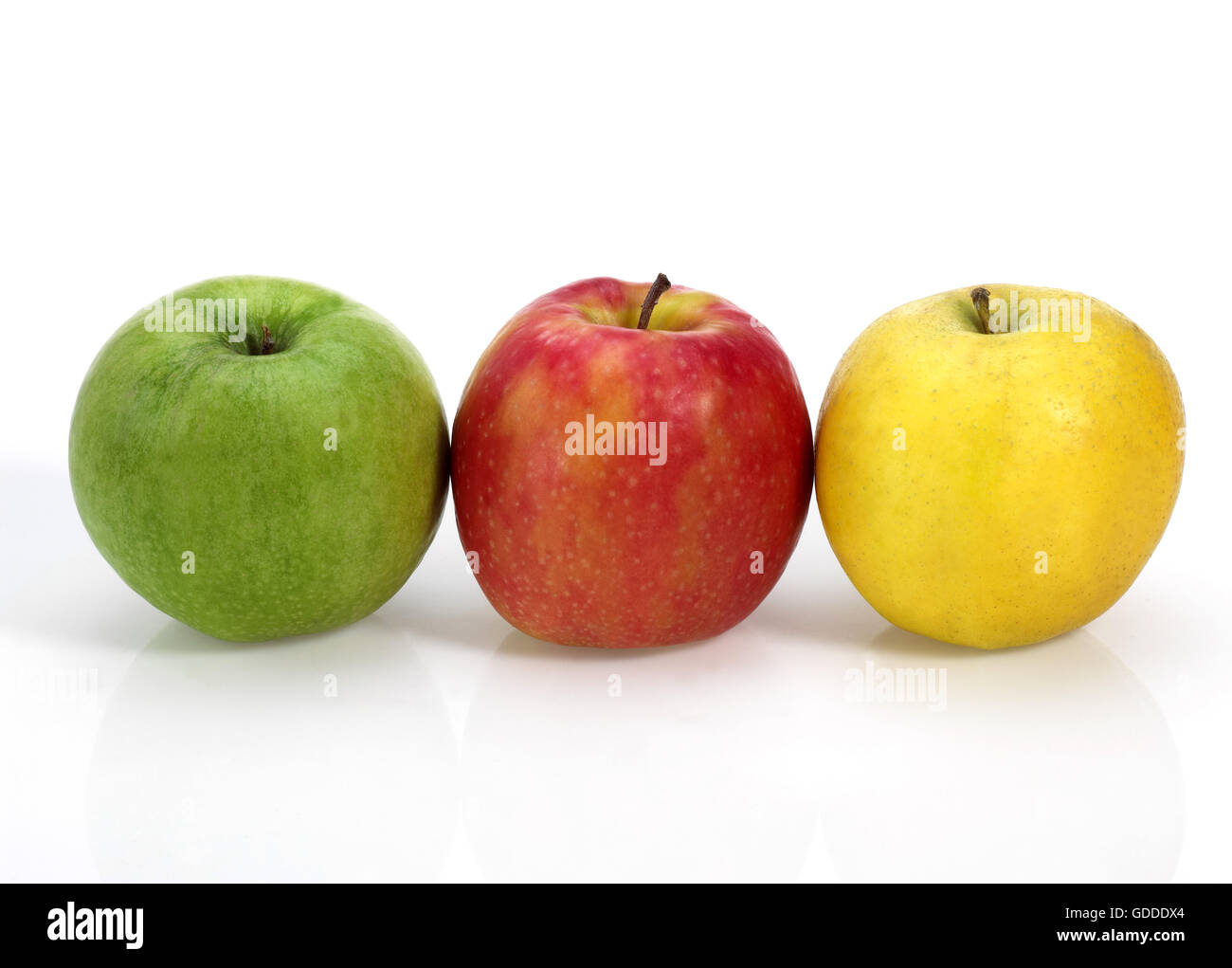 Gala Apples Vs Granny Smith at Roger Storey blog