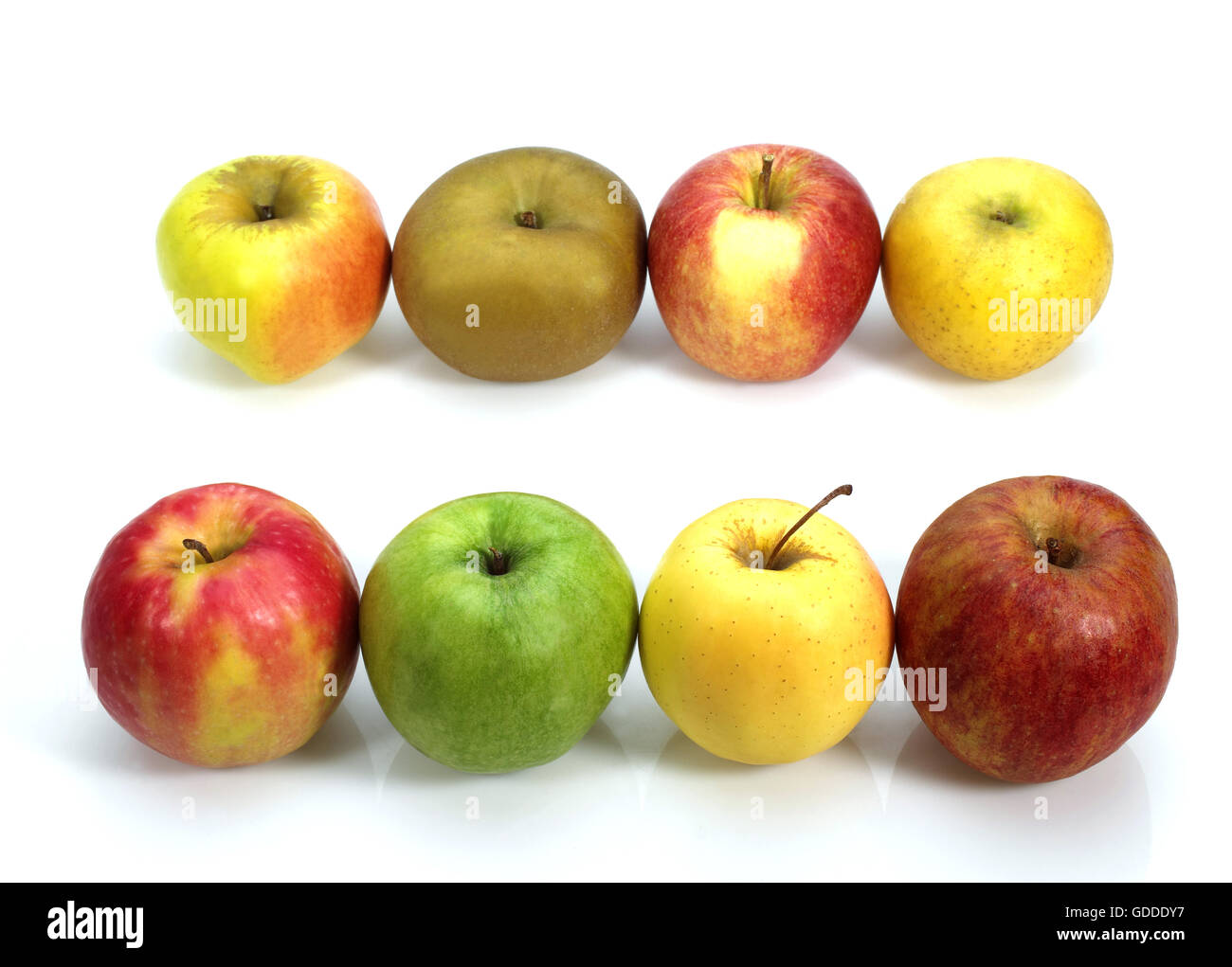 Apples, Calville, Canada, Golden, Granny Smith, Pink Lady, Royal Gala ...