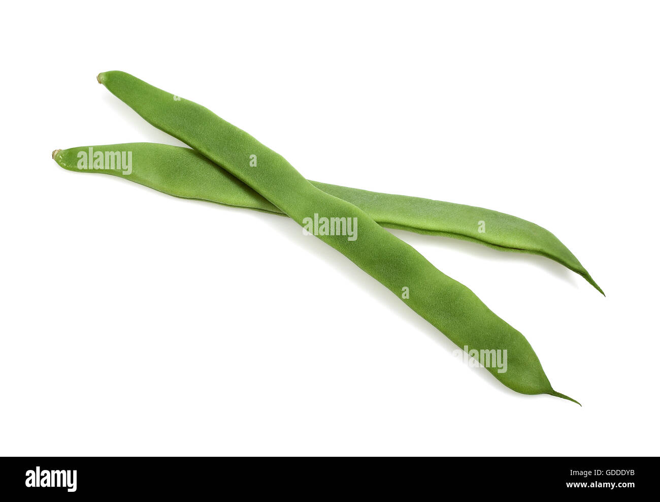 French beans called coco plat hi-res stock photography and images - Alamy