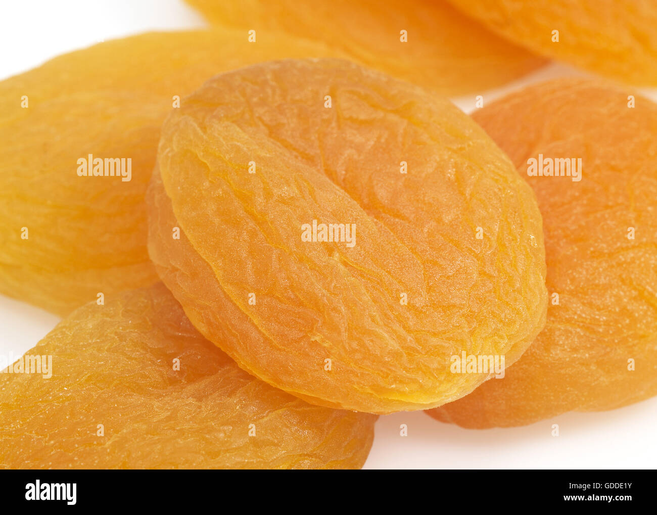 Dried Apricot, prunus armeniaca, Dry Fruits against White Background ...
