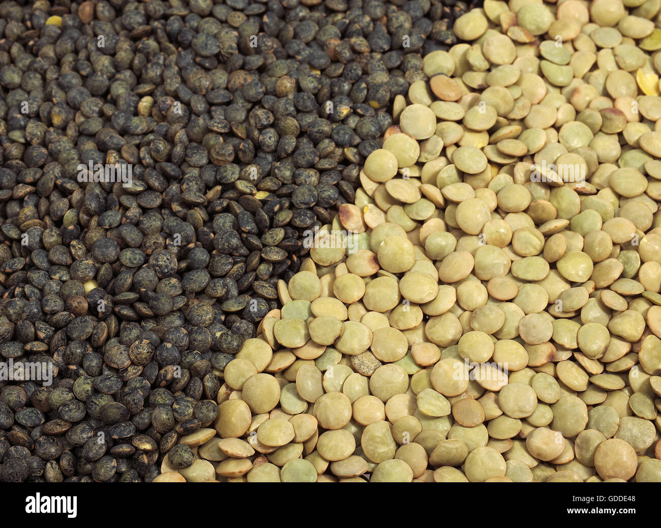 Blond lentil from saint flour hi-res stock photography and images - Alamy