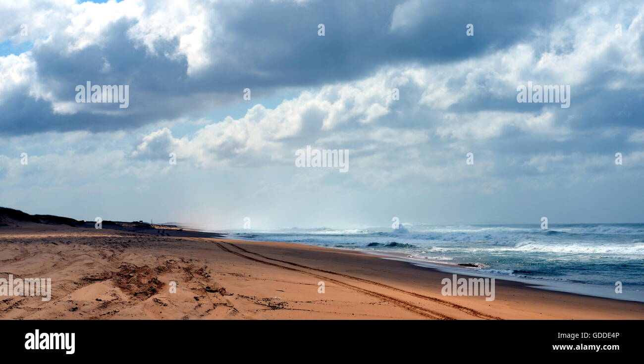 Horizontal landscape of the beach with tyre track in the foreground and ...