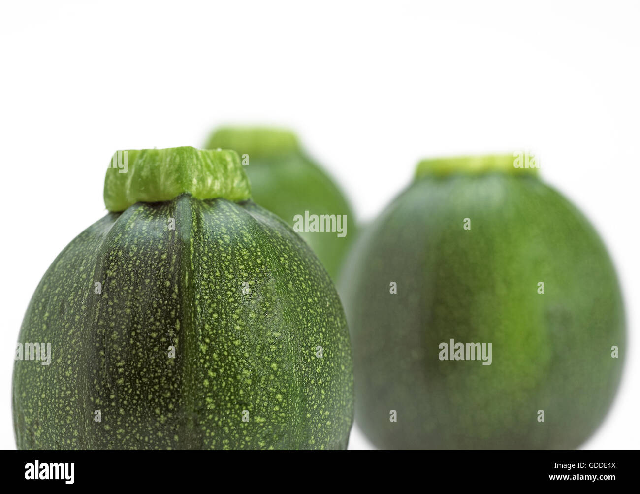 Round Courgette or Zucchini, Vegetable against White Background Stock ...