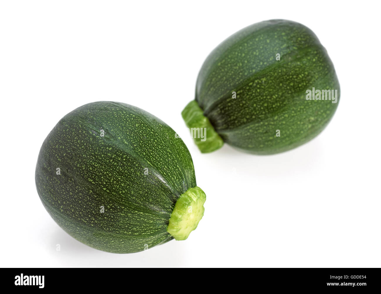 Round Courgette or Zucchini, Vegetable against White Background Stock ...