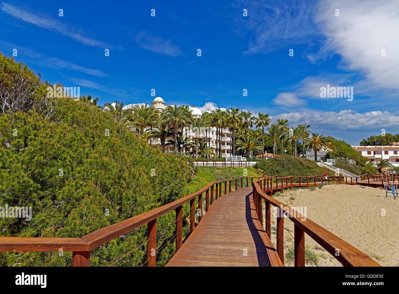 Pine ways hi-res stock photography and images - Alamy