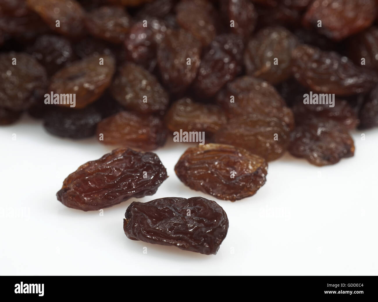 Currants, vitis vinifera apyrena, Dried Fruits againsy White Background ...