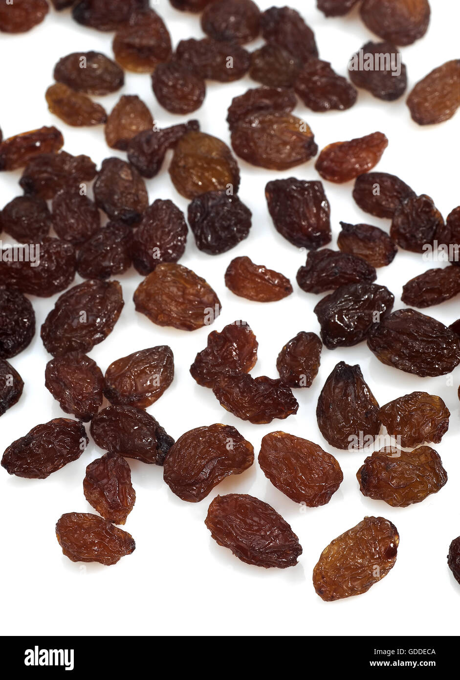 Currants, vitis vinifera apyrena, Dried Fruits against White Background ...