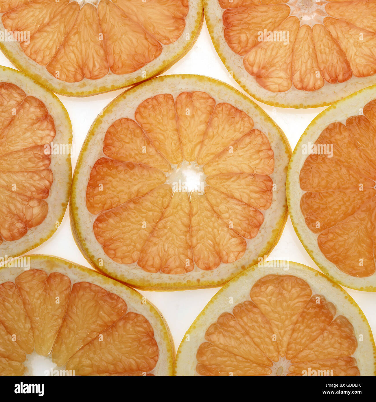 Citrus square hi-res stock photography and images - Alamy