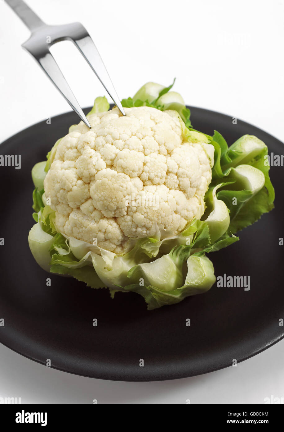MINIATURE CAULIFLOWER AGAINST WHITE BACKGROUND Stock Photo - Alamy