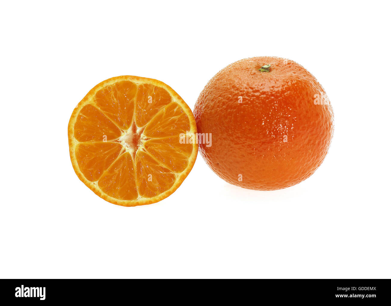 Clementine Fruit, citrus reticulata against White Background Stock ...