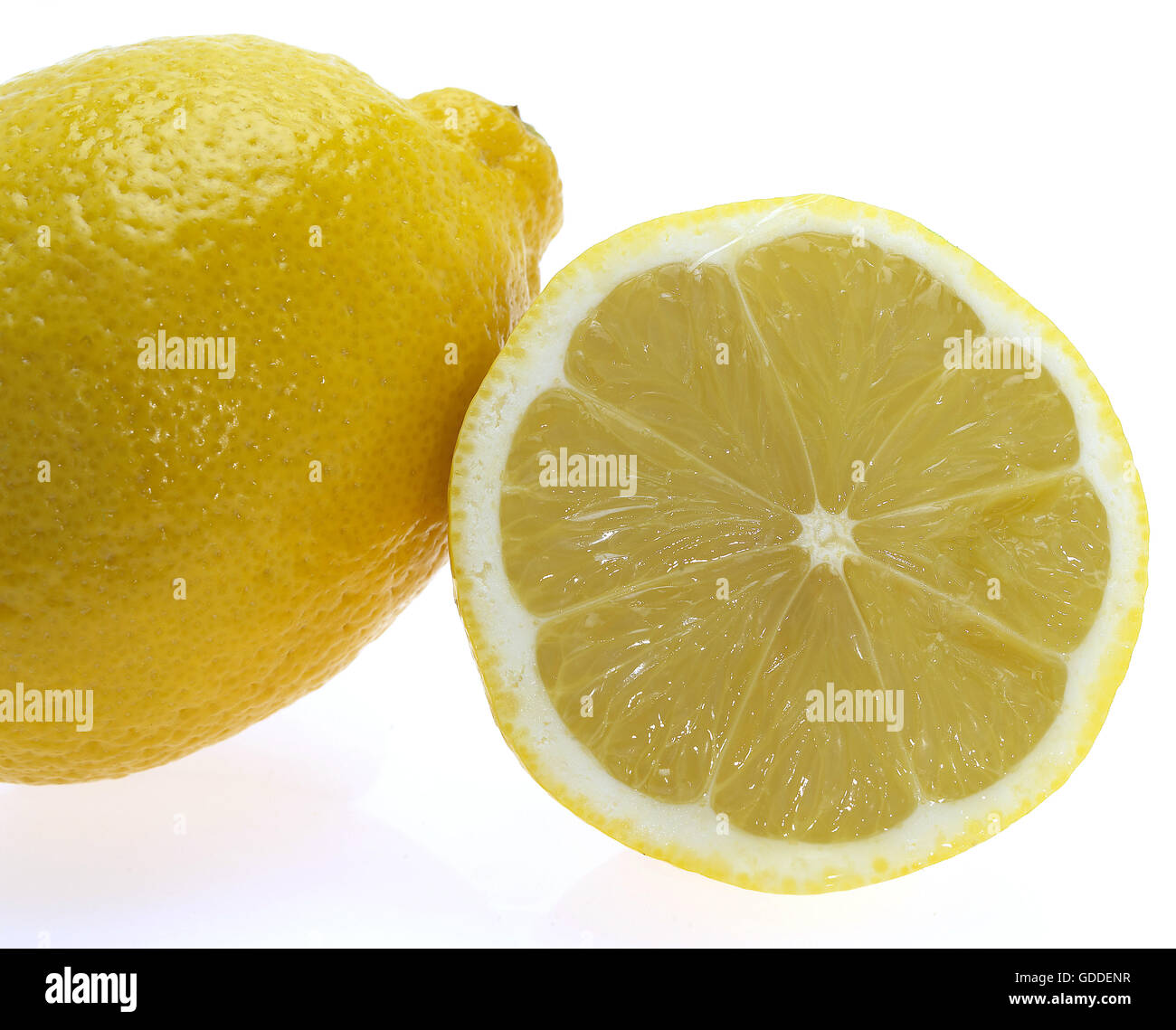 Yellow Lemons, citrus limonum against White Background Stock Photo - Alamy