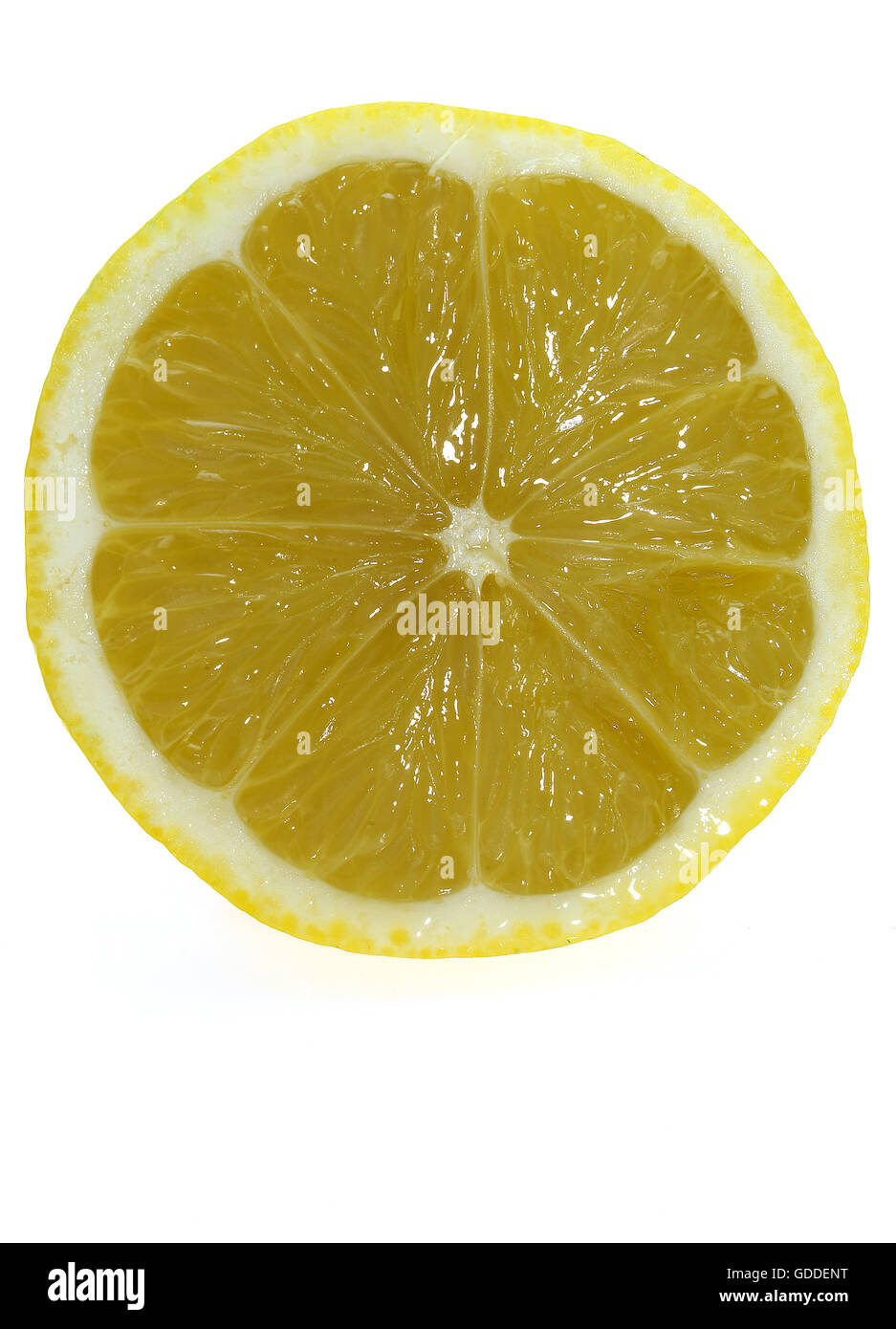 SLICE OF YELLOW LEMON citrus limonum AGAINST WHITE BACKGROUND Stock ...
