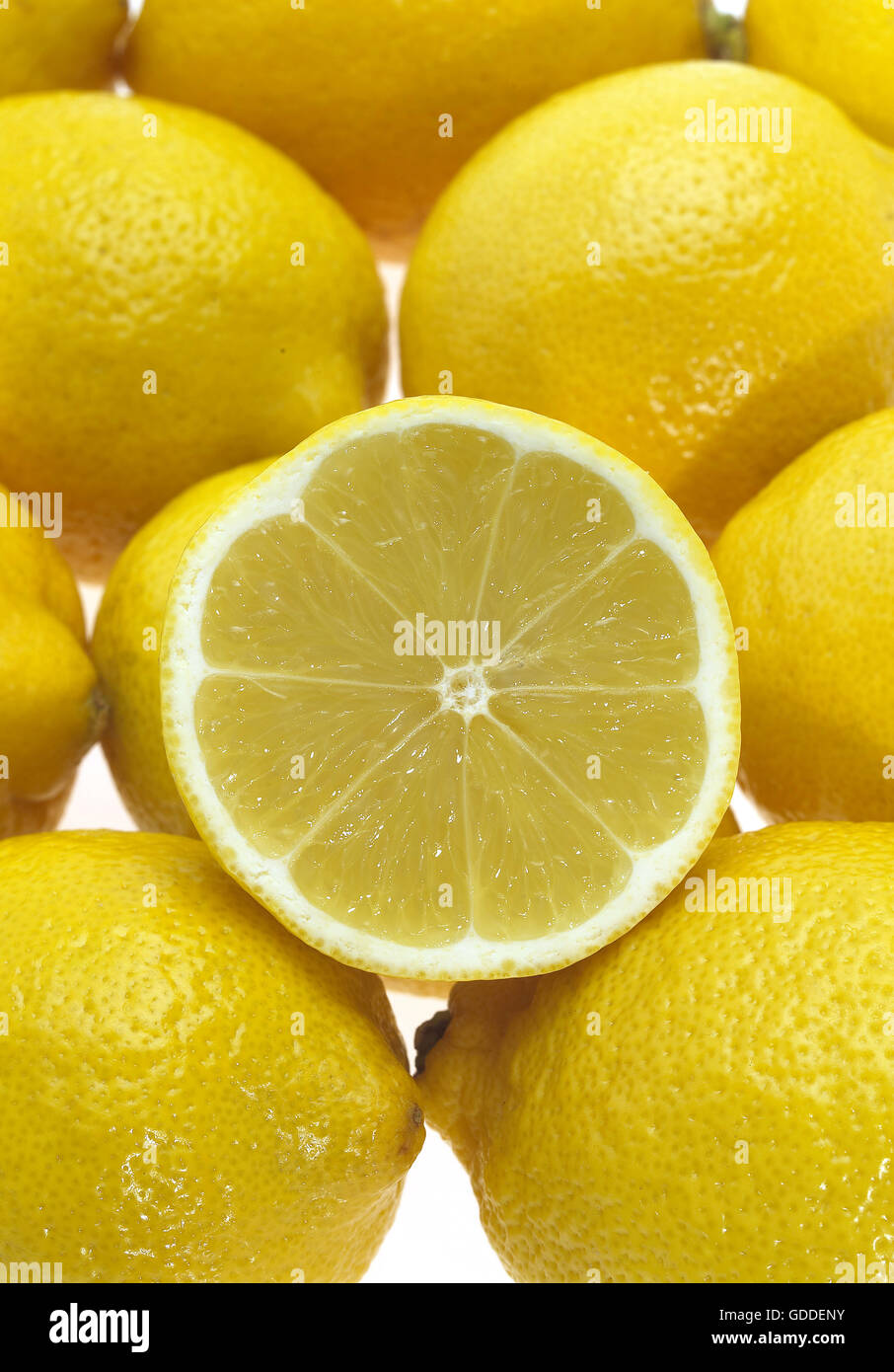 Citrus images hi-res stock photography and images - Alamy