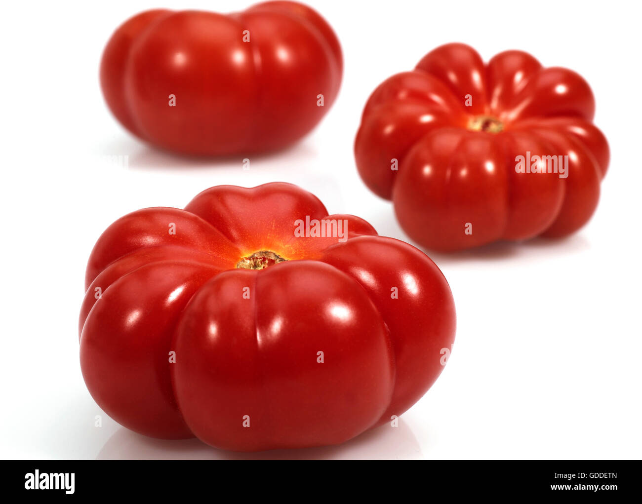 Tomatoes camone hi-res stock photography and images - Alamy