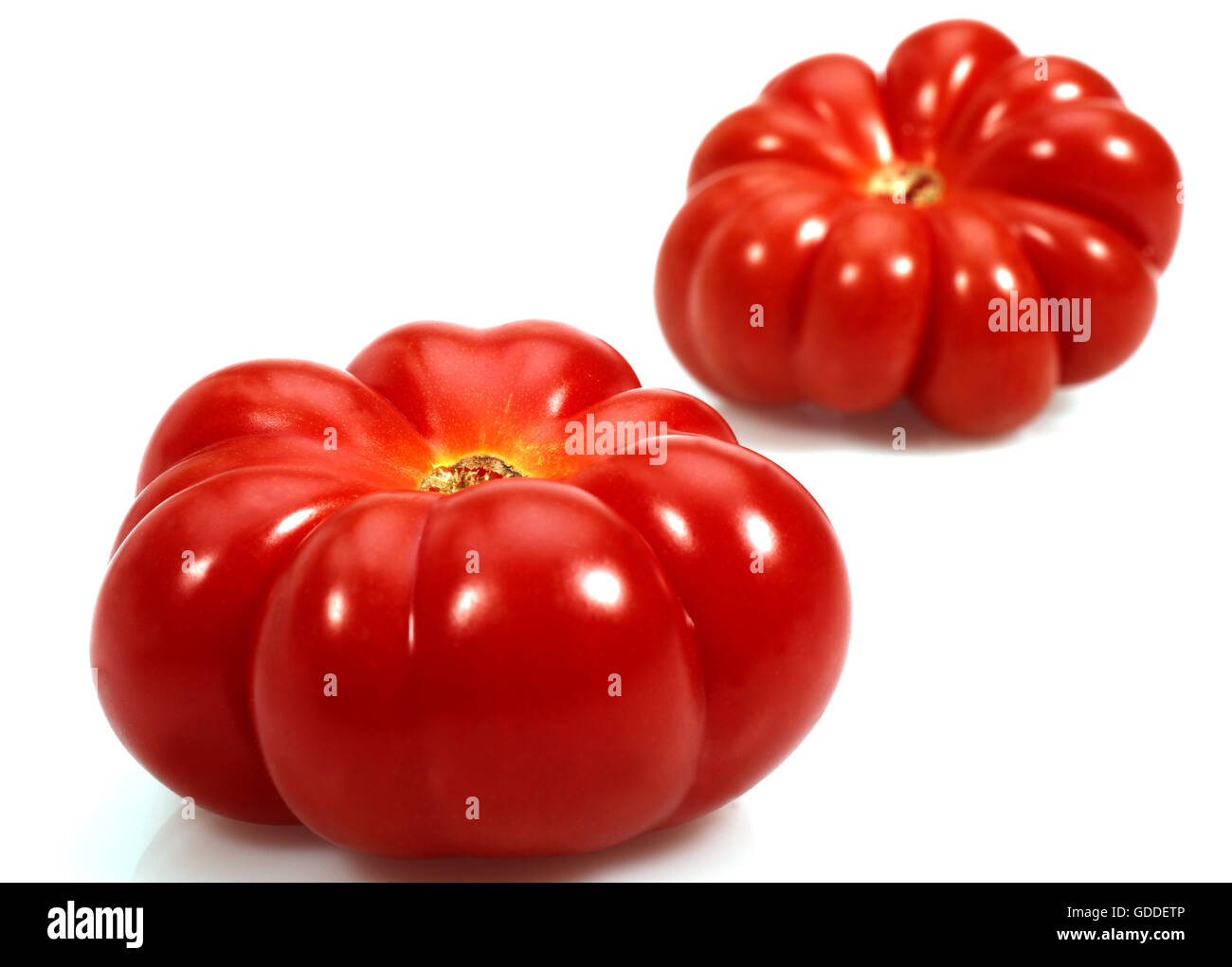 Tomatoes camone hi-res stock photography and images - Alamy